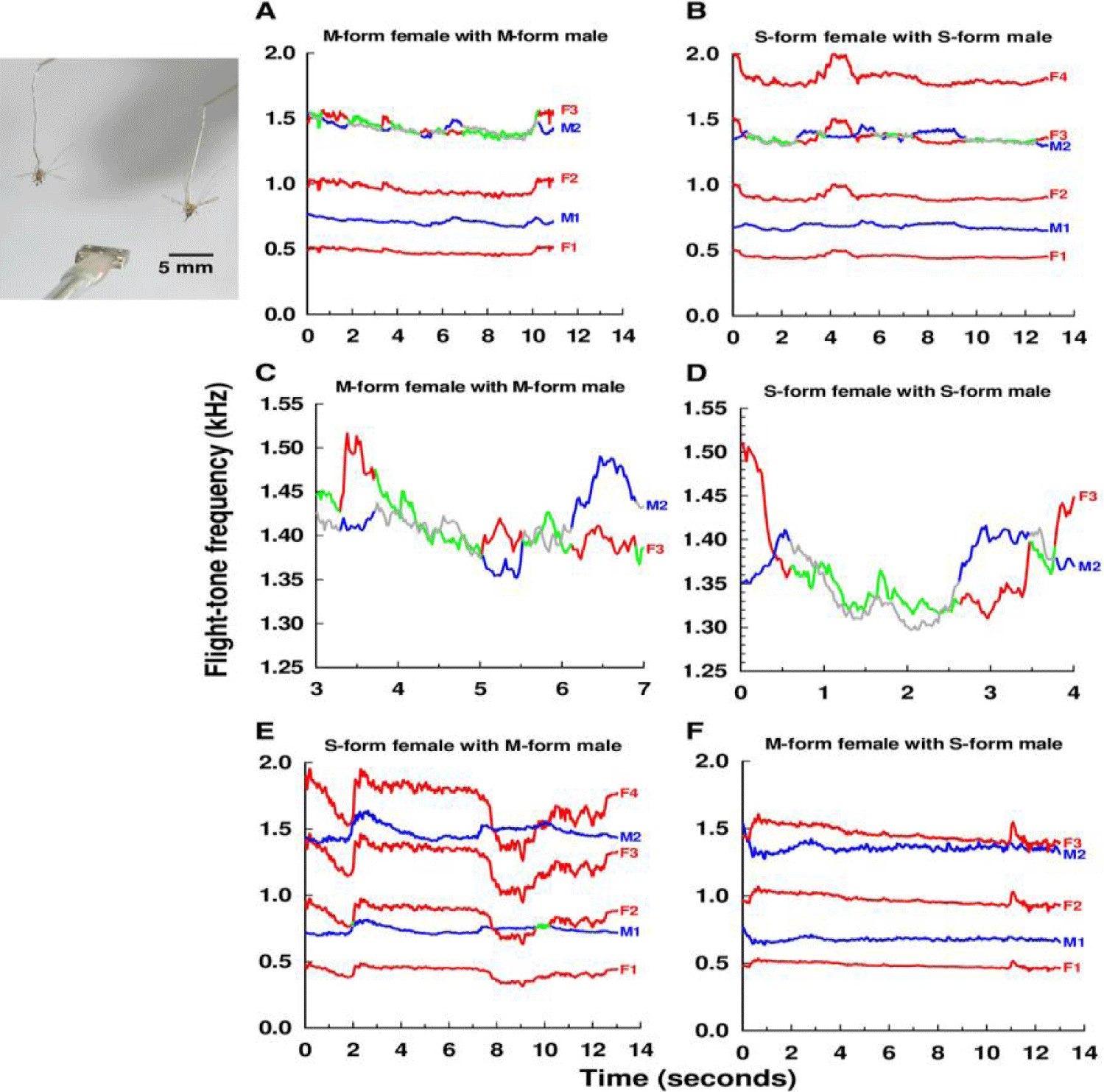 Mating Behavior and Gonotrophic Cycle in Anopheles gambiae Complex and ...